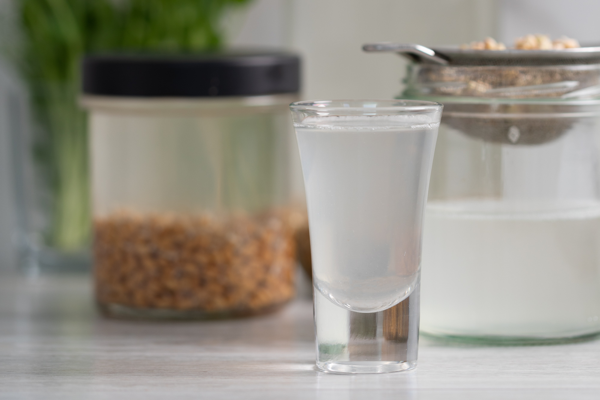 Fermenteeritud ehk hapendatud idandivesi - Plantos